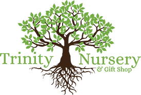 Native Plants for the Trinity Garden | Trinity Nursery & Gift Shop